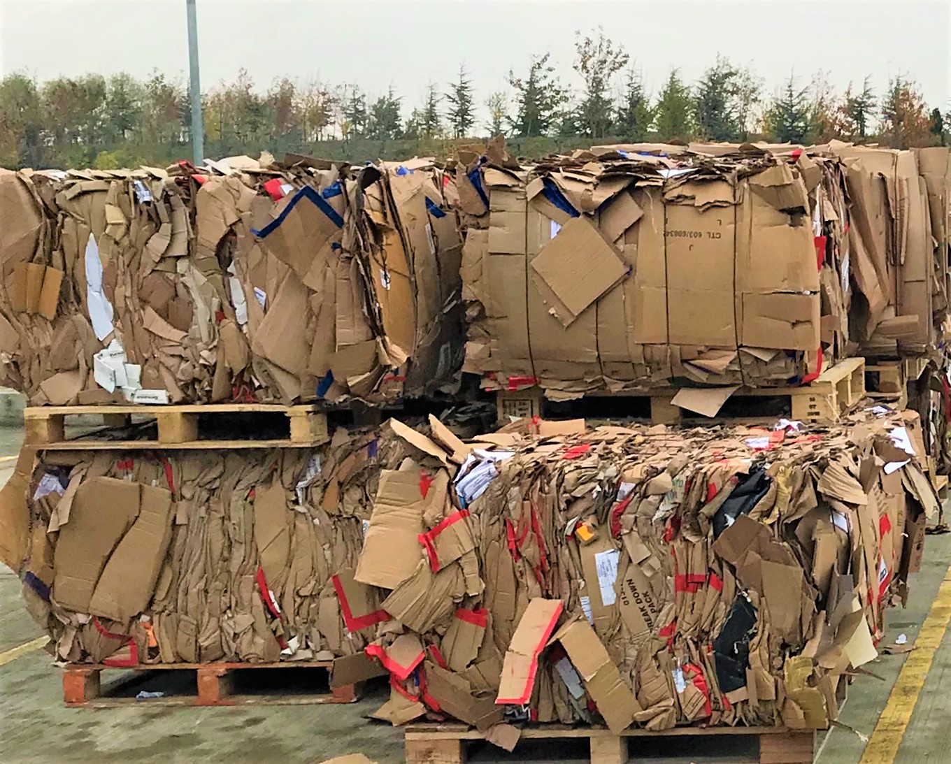 Recycling Services – Agnail Deliver Sustainable Recycling Solutions